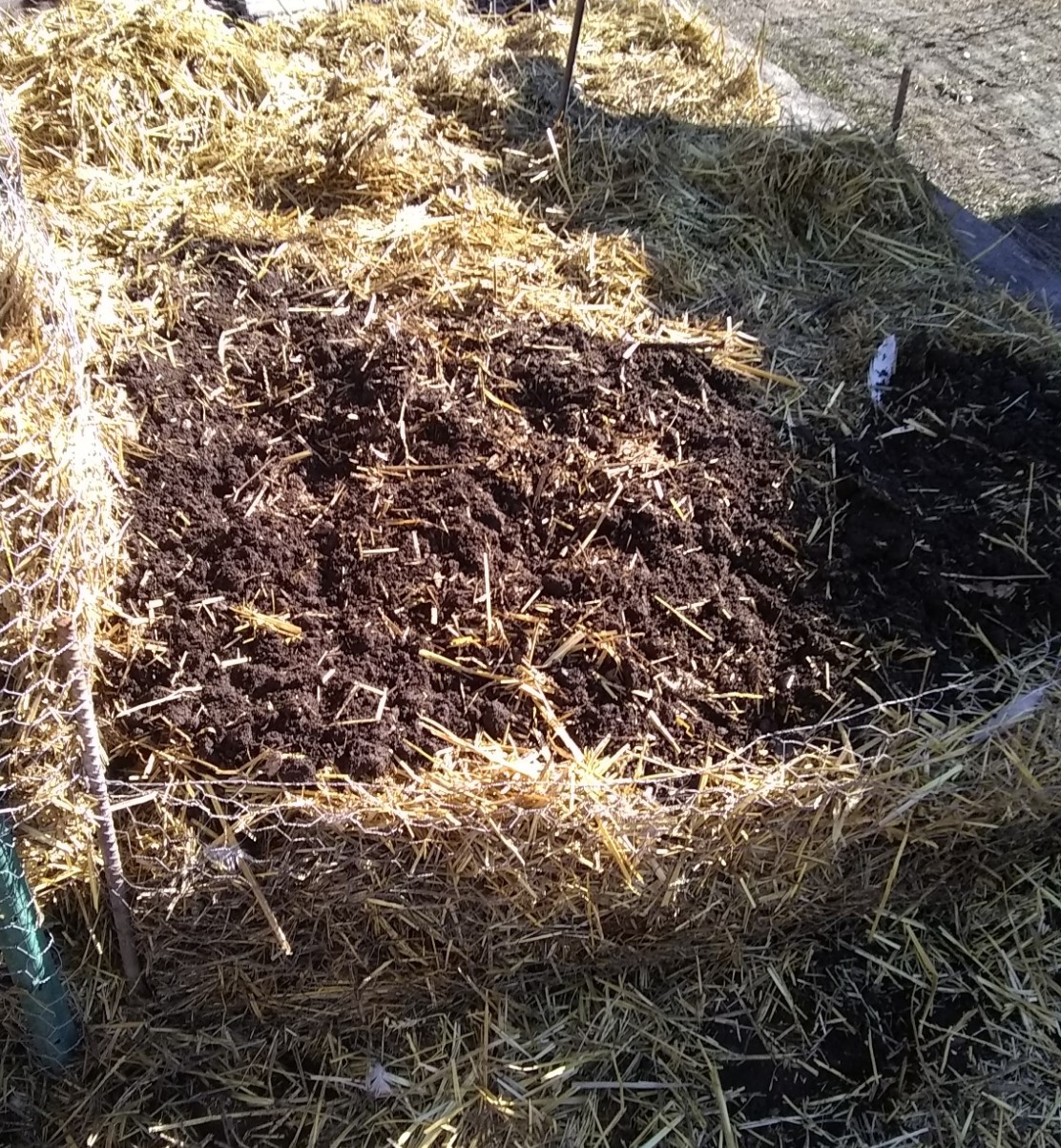 Compost Garden Beds