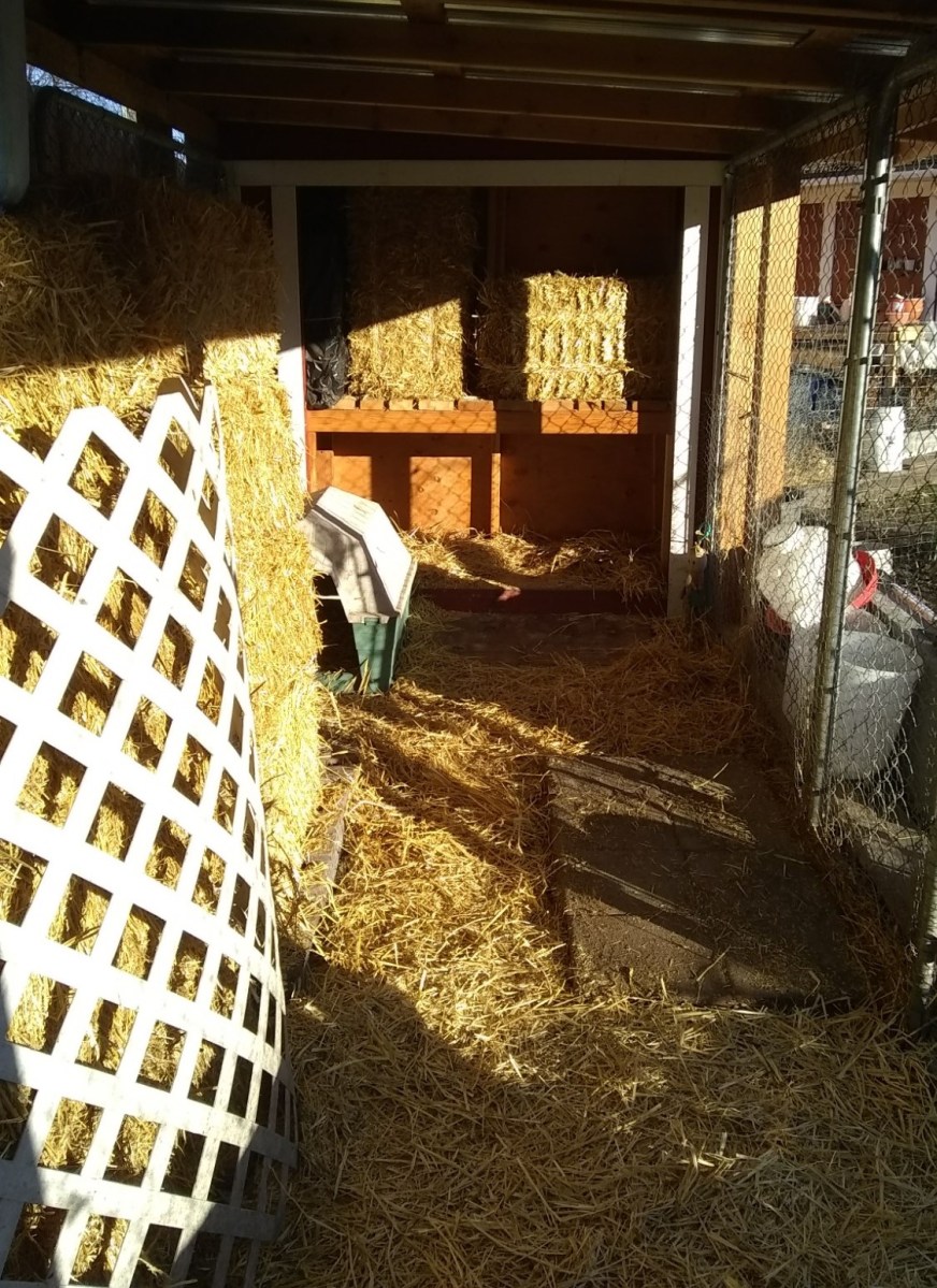 Spring Cleaning Duck House and Run